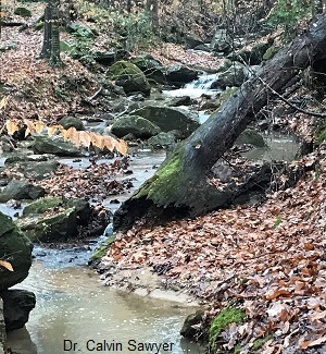 Intelligent River Research